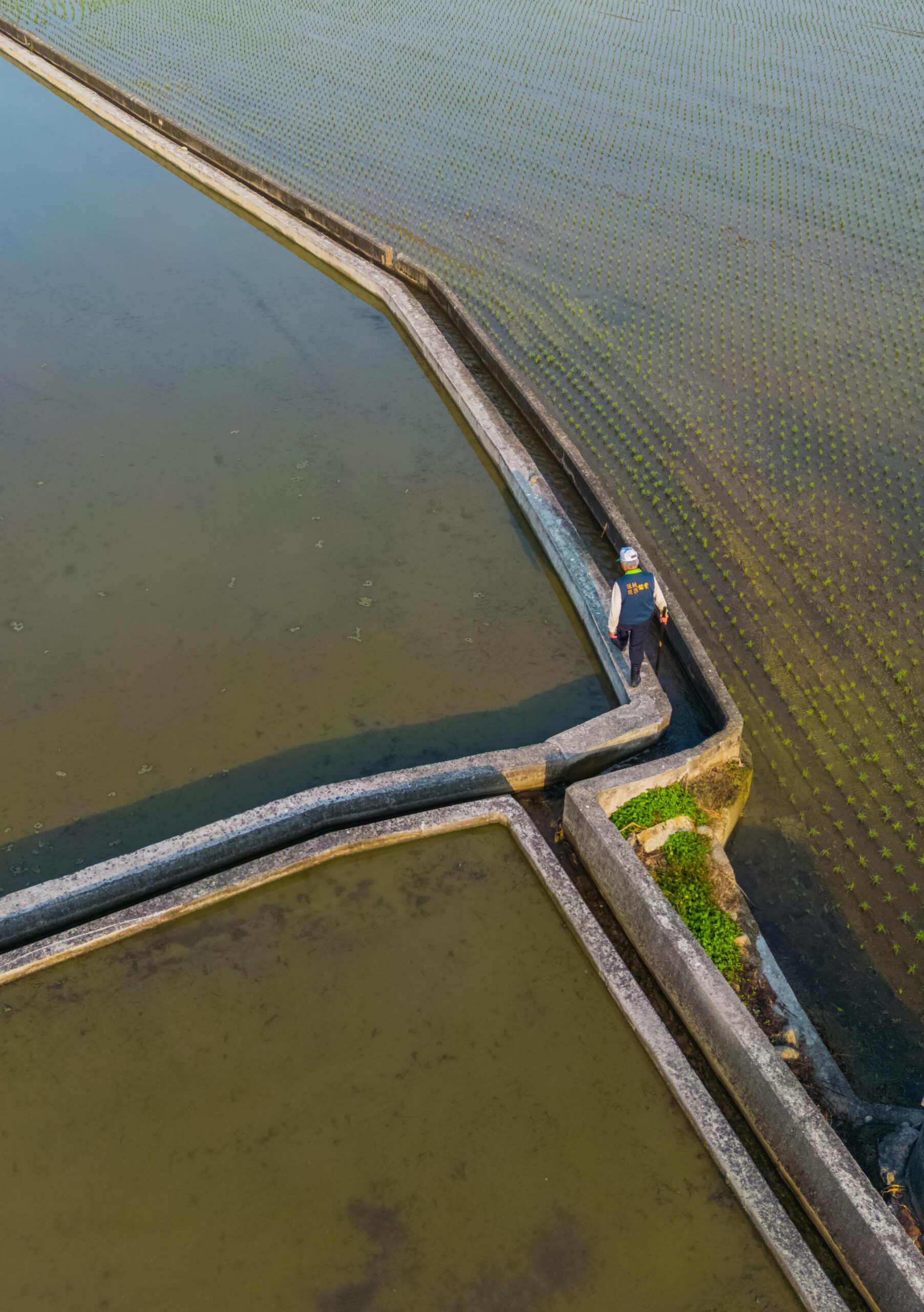 Water Management – Civilscape Landscaping